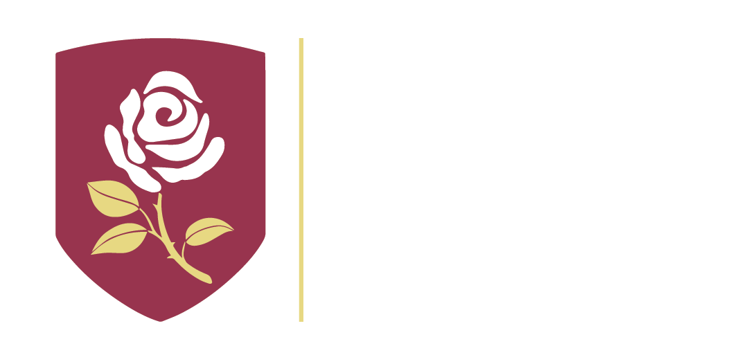 Pink Roses Schools